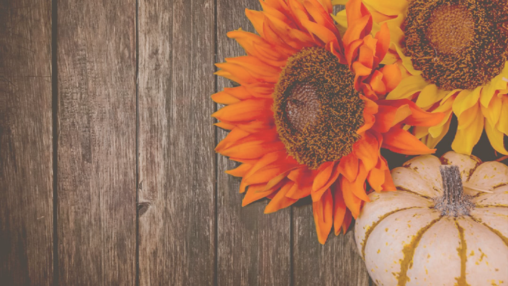 Thanksgiving Activities For High Schoolers My School Dance thanksgiving-activities-for-high-schoolers-my-school-dance