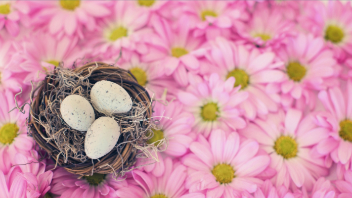 5 Fun-Filled Easter Activities for the Classroom! - My School Dance